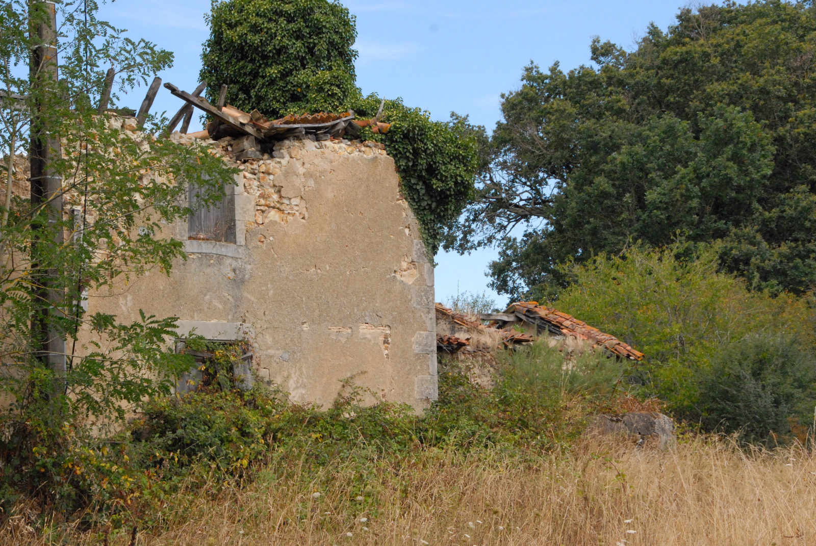 Un livre - Esthétique des ruines, poïétique de la destruction - Zone ...